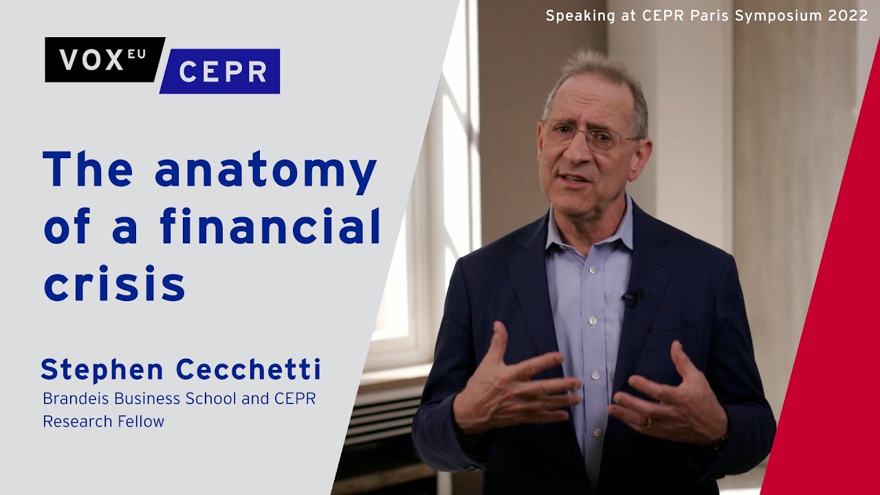 The anatomy of a financial crisis - YouTube