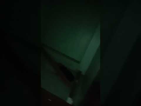 capitan pepe building - YouTube