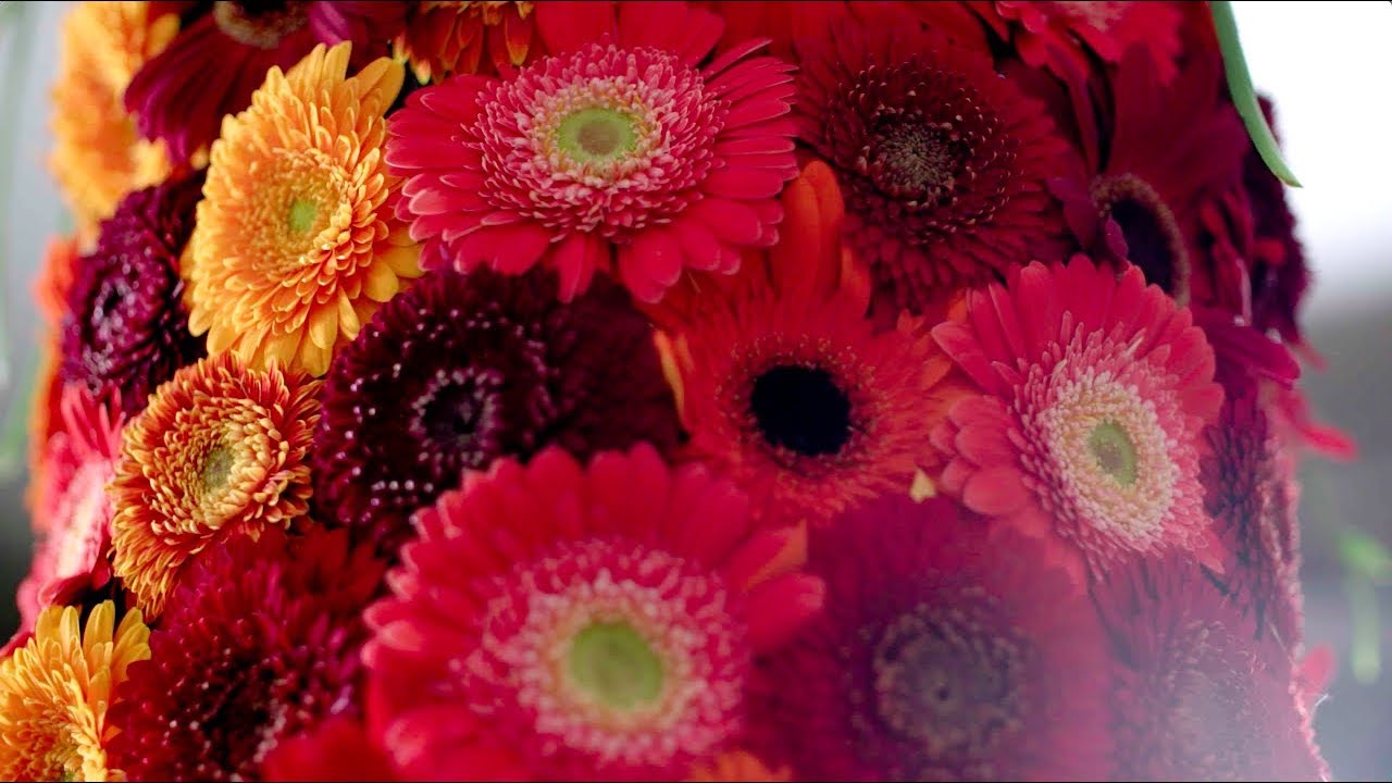 a Towering Gerbera design | Flower Factor tutorial | Powered by ...