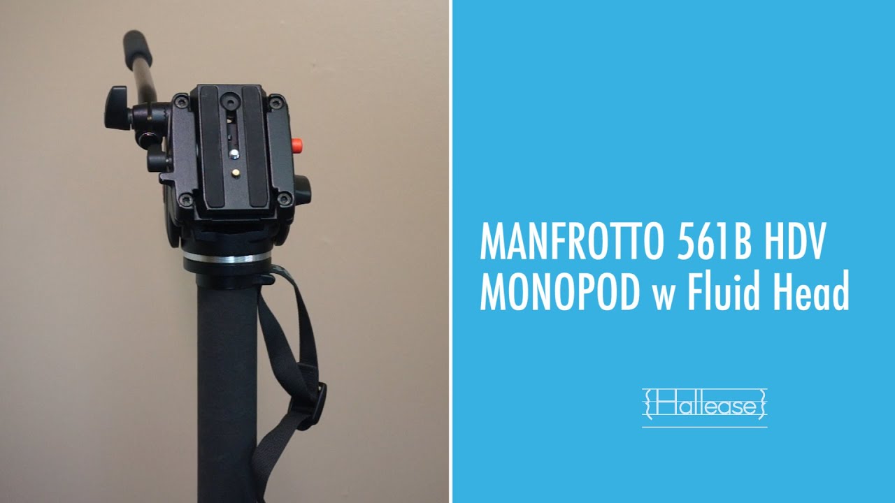 My Manfrotto Monopod | 561BHDV - YouTube