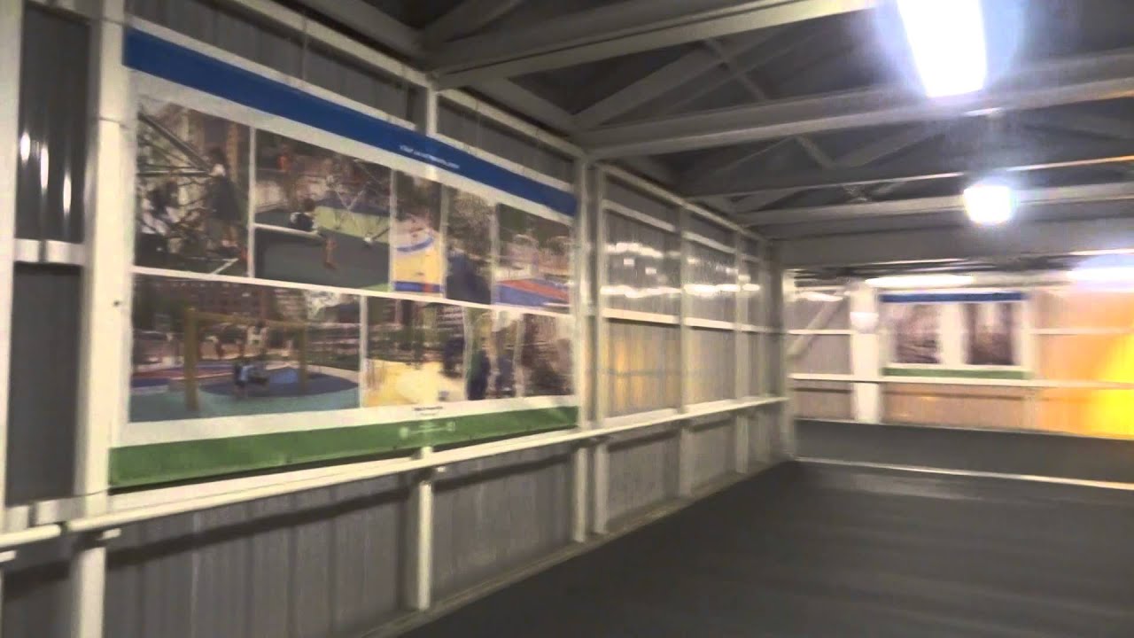 A Walk Through The Liberty Street Pedestrian Bridge - YouTube