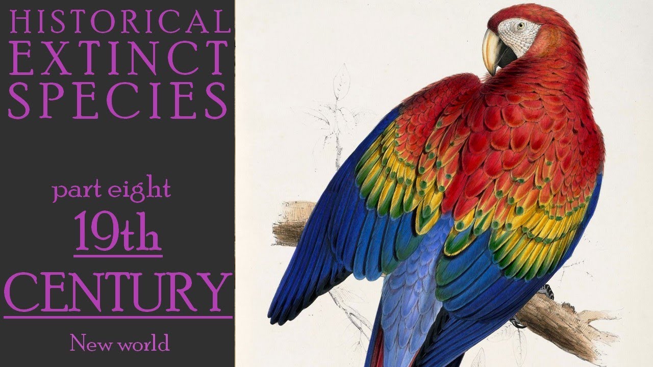 Historical Extinct Species #8 19th century. Part three - New world ...