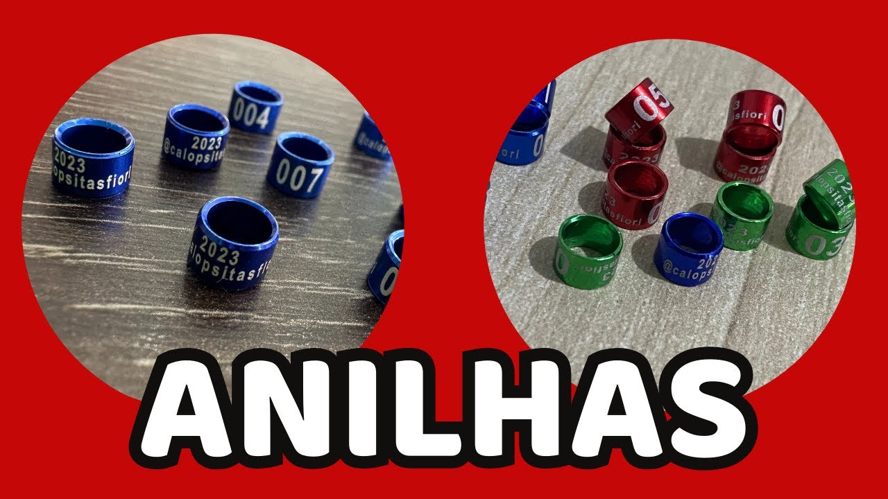 ANILHAS PERSONALIZADAS OU DA FOB? - CORTE DE LIVE - YouTube