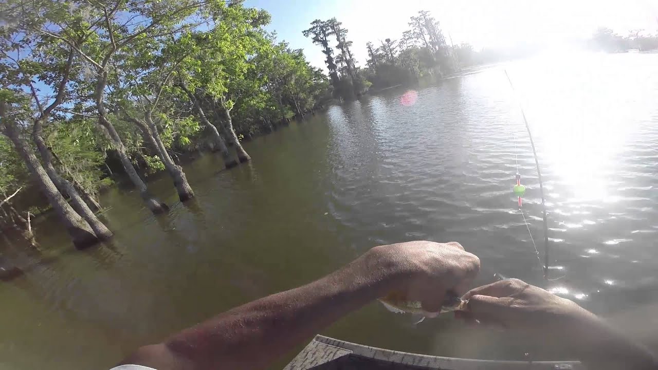 Fishing Pack's Landing for Shellcrackers - YouTube