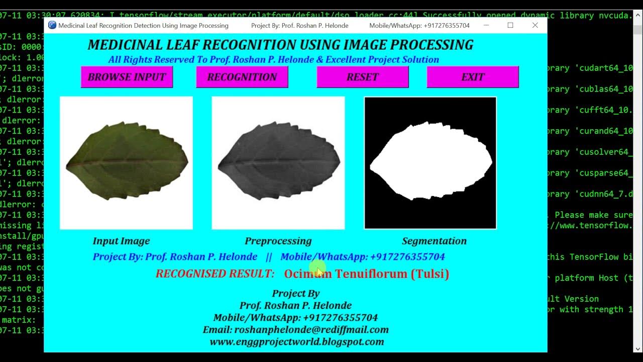 Medicinal Leaf Recognition Using Image Processing || Python Project With Source Code - YouTube