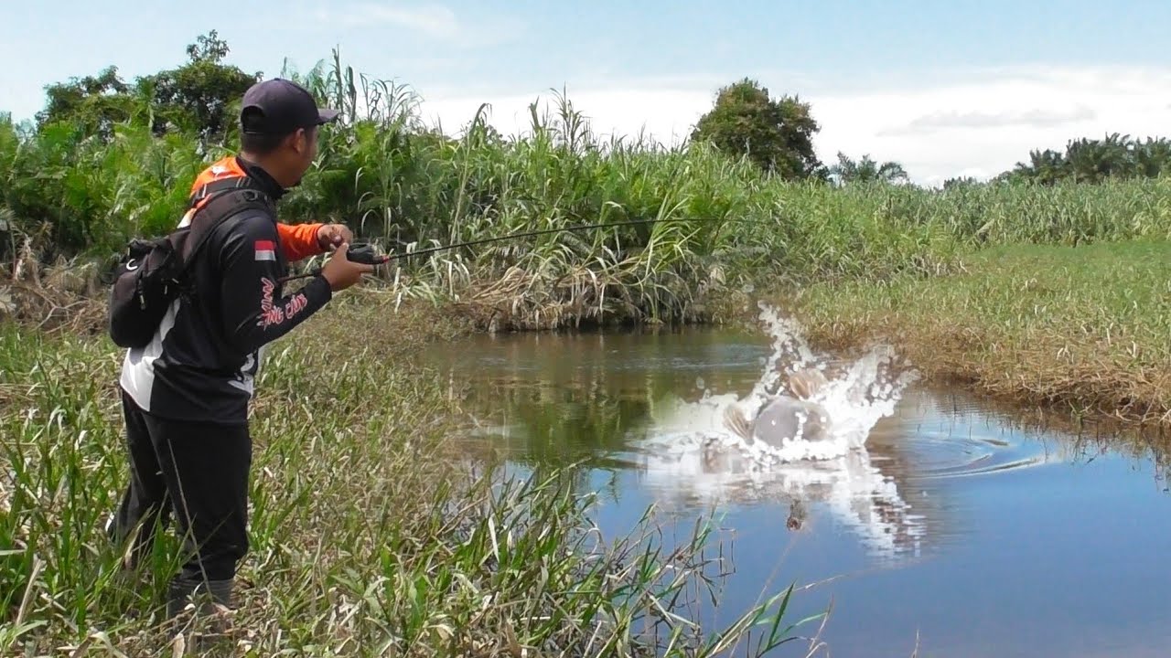 GAK ADA ORANG MANCING DI RAWA INI TAPI KETIKA KAMI COBA MANCING DI SINI ...