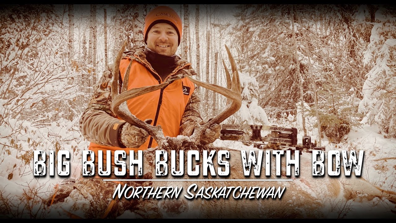 Big Bush Bucks with Bow | Promo | Canada in the Rough | S18E8 - YouTube