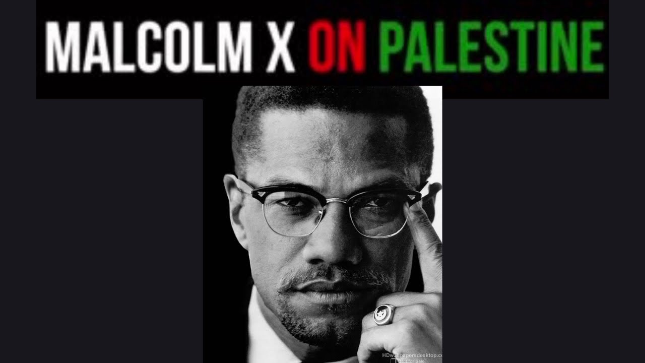 Malcolm X’s Powerful Speech on Palestine 60 Years Ago - YouTube