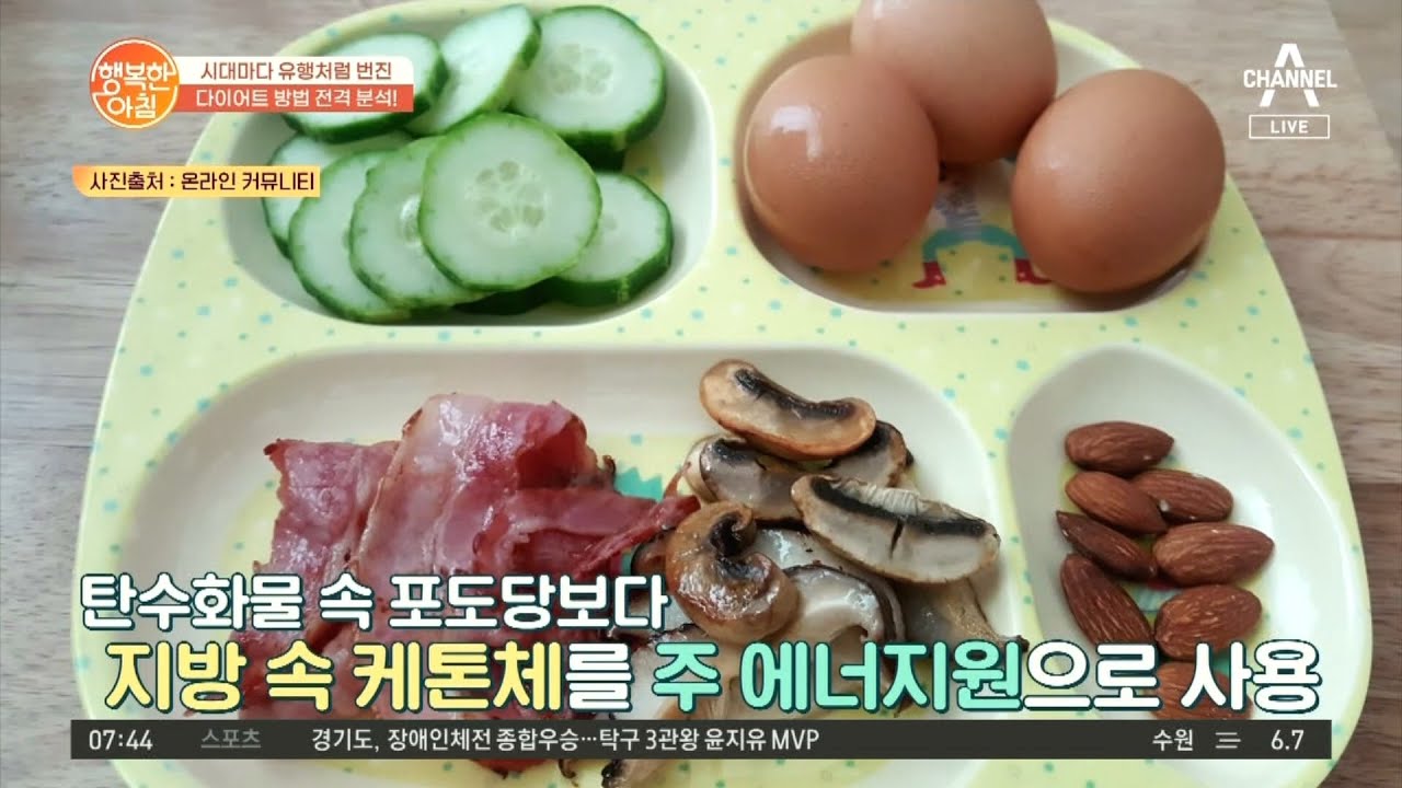 저탄고지 다이어트 단기간 다이어트엔 효과적이지만 장기간 유지한다면 행복한 아침 698 회 Youtube