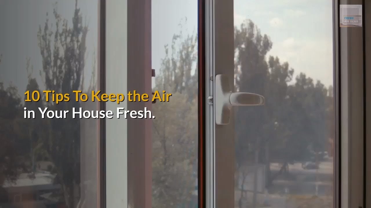 10 Easy Tips You Can Try To Make The Air In Your House Fresh Today ...