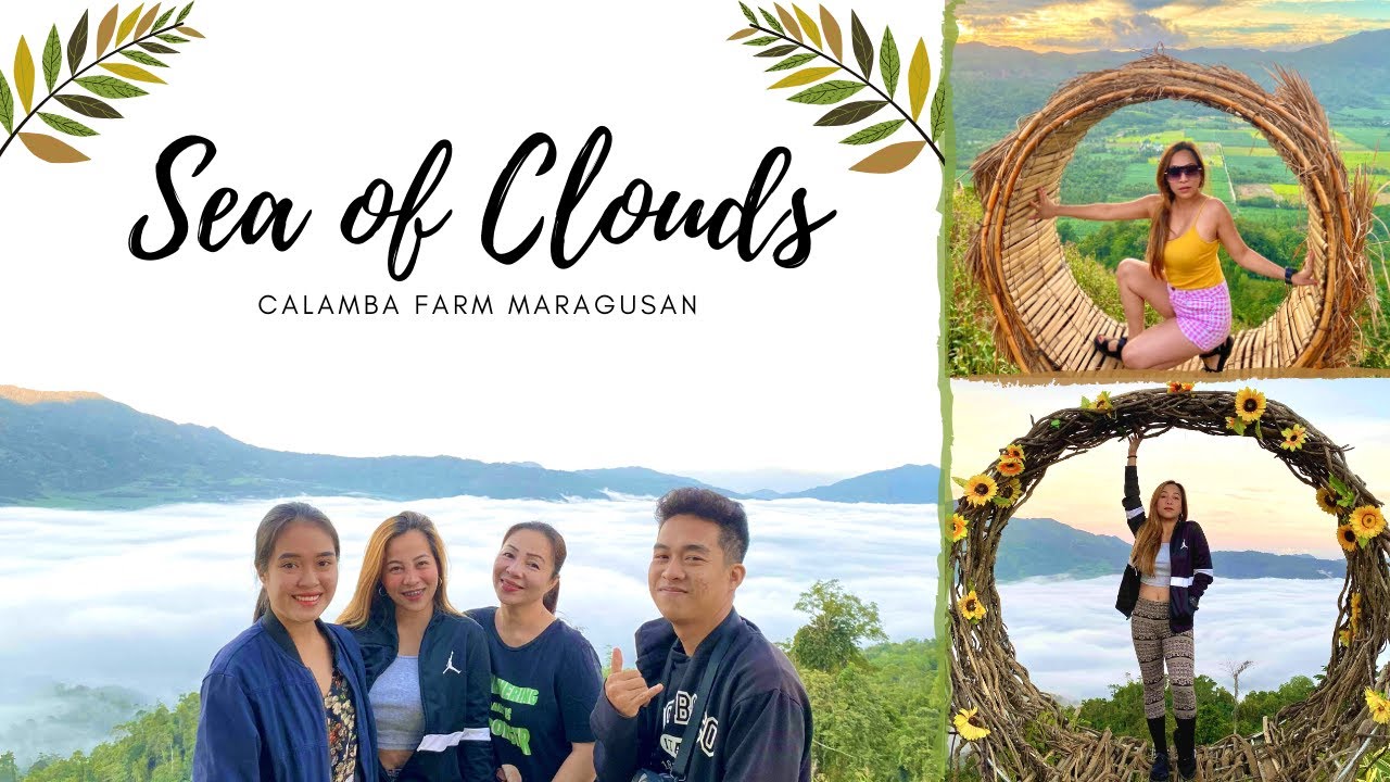 Sea of Clouds (Calamba Farm) and Haven's Peak - Maragusan Tour (Vlog#1 ...