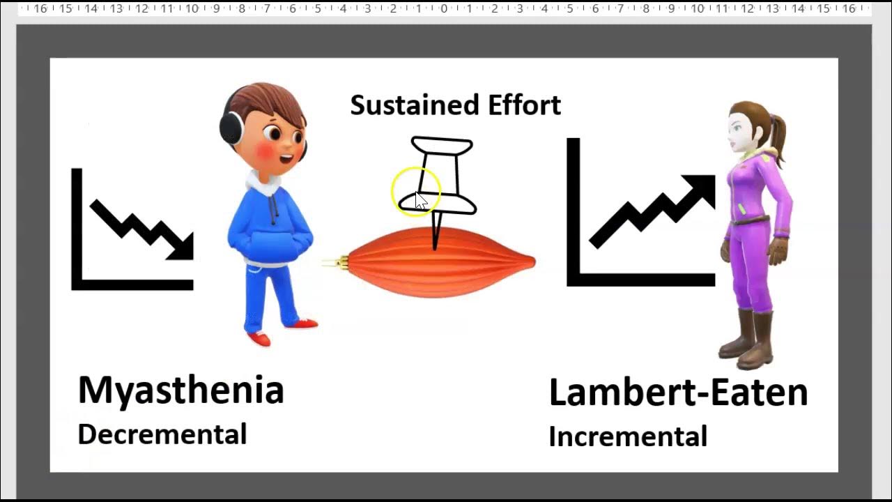Lambert-Eaton Myasthenic Syndrome - pathophysiology, signs and symptoms and treatment USMLE ...