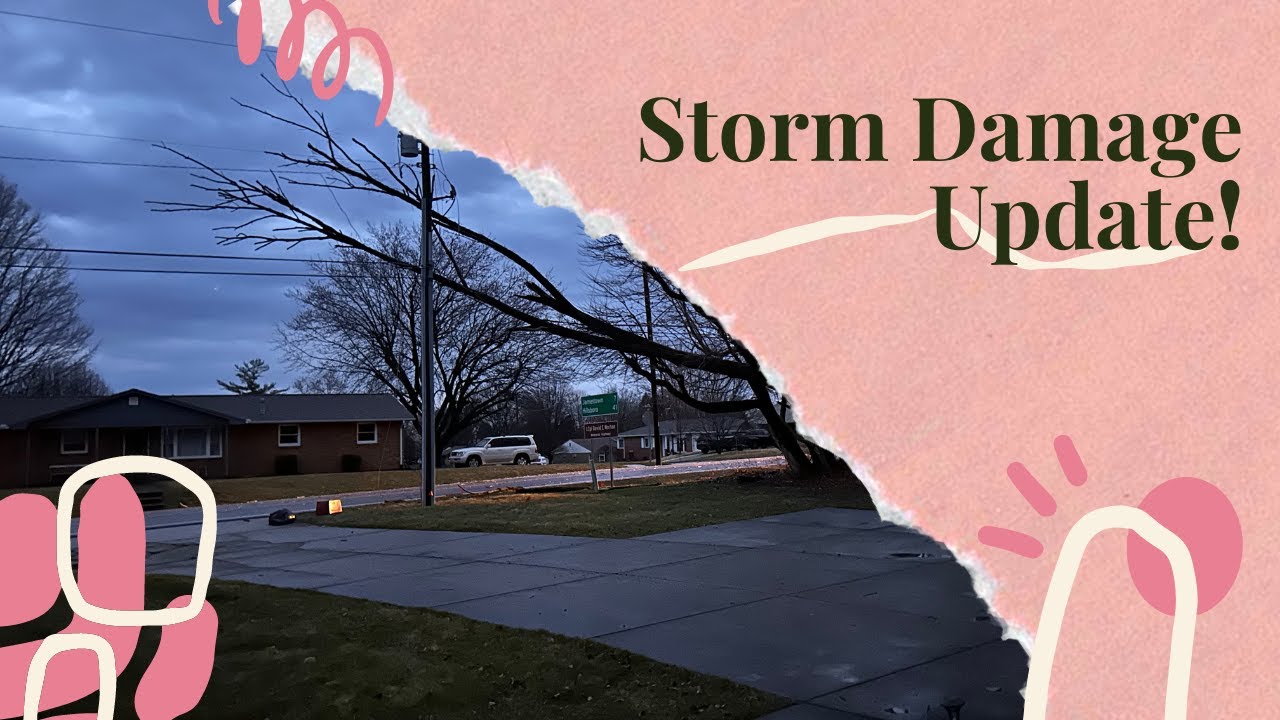 Storm Damage Update! - YouTube