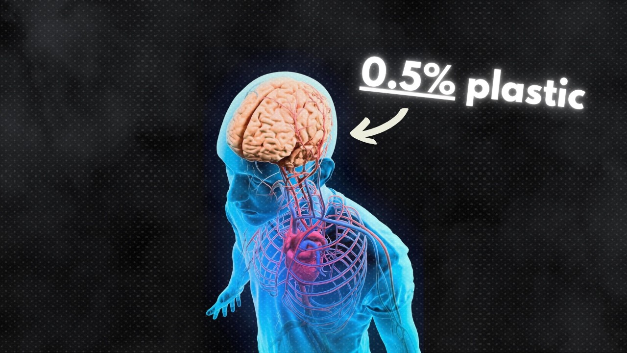 Why You Have Plastic In Your Brain - YouTube