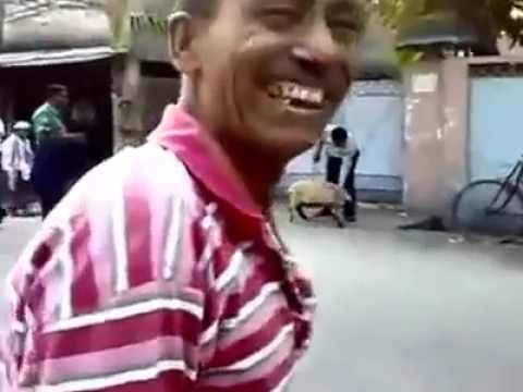 kambing ngajak ngentot