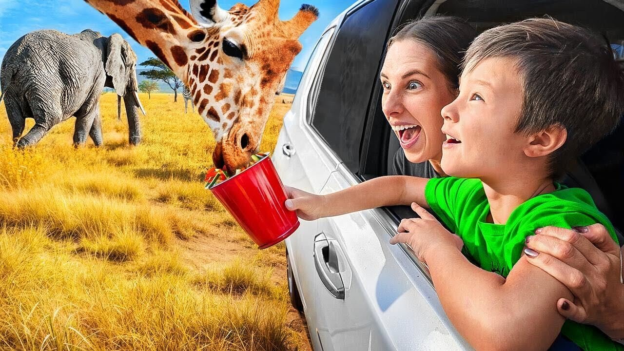 FEEDING WILD and RARE ANIMALS FROM OUR CAR?! 😱🐫 - YouTube