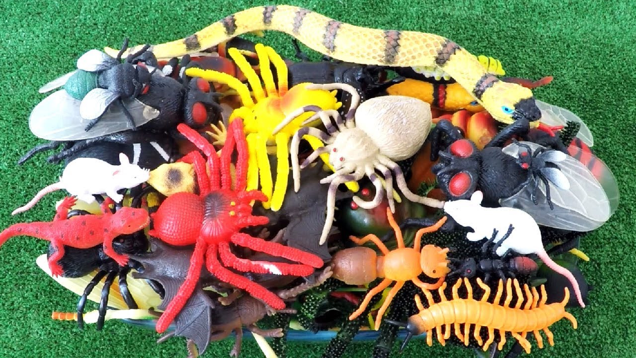 Best Insect Toys For Kids Learn Insects and Bugs Toys for Kids ...