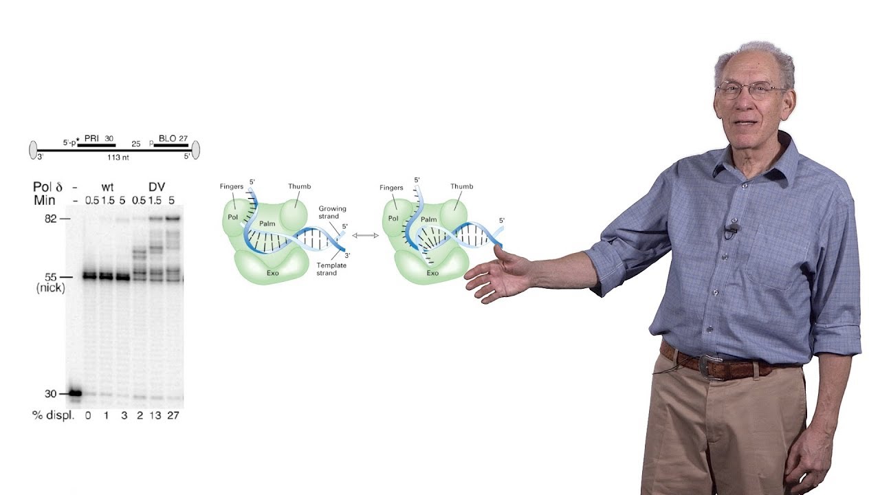 James Haber (Brandeis) 3: Mutations Arising during Repair of a Broken ...
