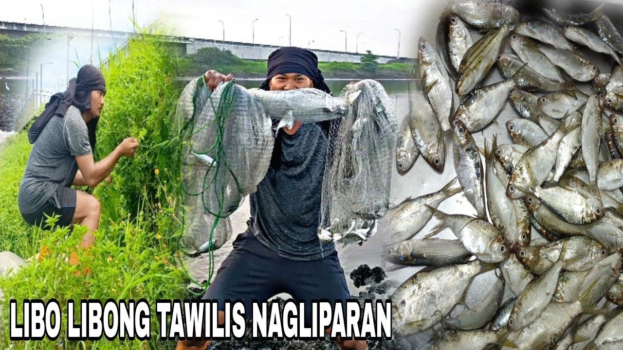 CatchNCook||Naglabasan Naman ang libo libong pang tuyo at nag liliparan ...