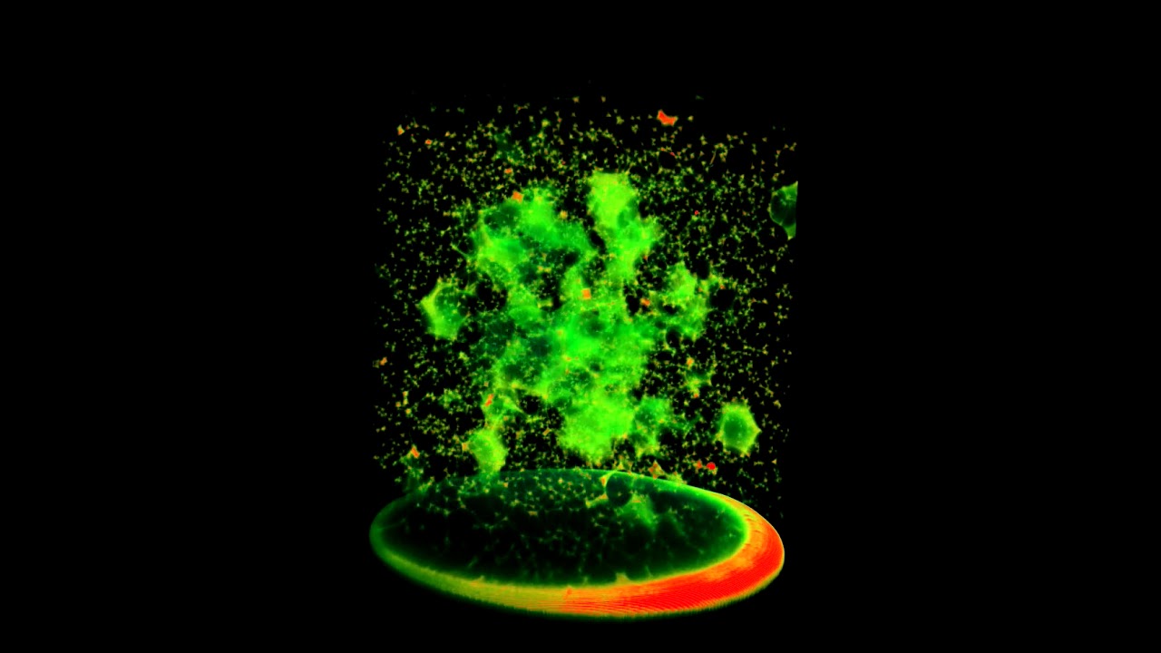 Inside a new oil-catching sponge - YouTube