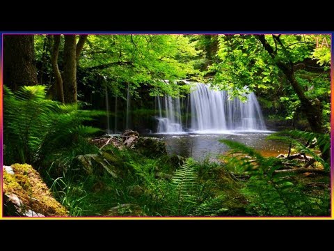 Hermosa Música Relajante de Violín, Piano, Violonchelo y de la Guitarra - Música Romantica