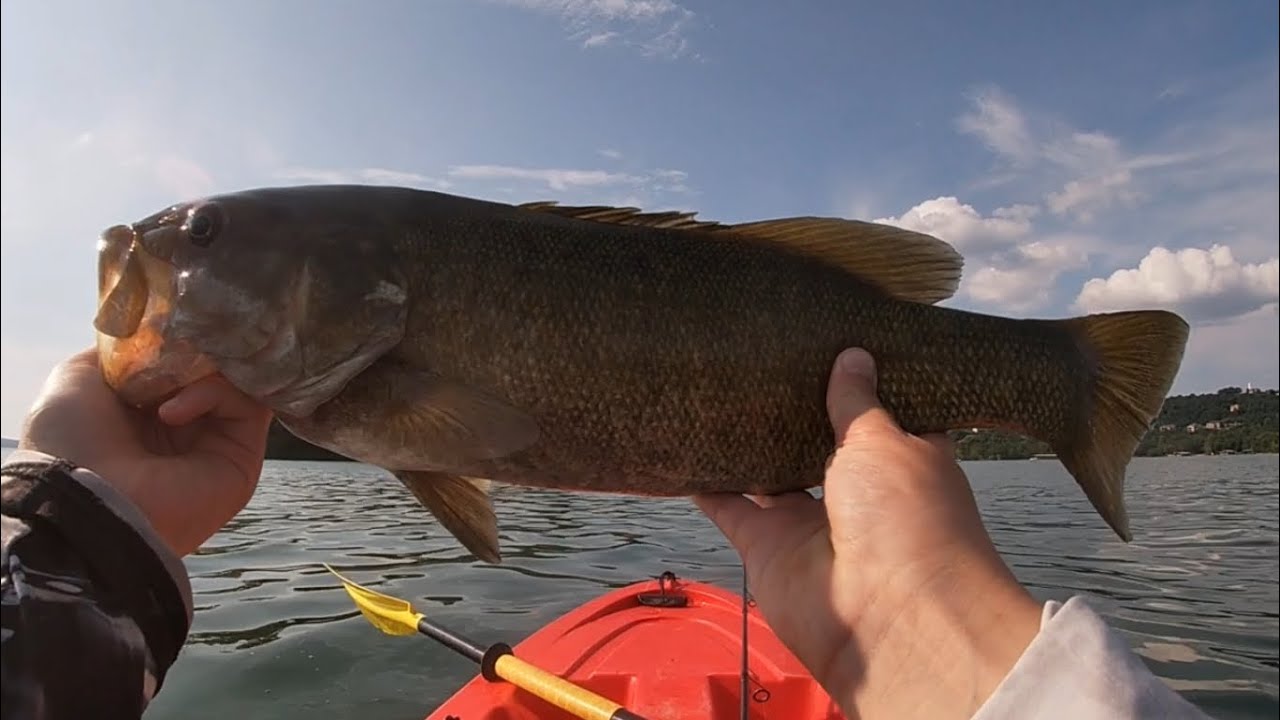 Summertime Kayak Bass Fishing Table Rock Lake - YouTube