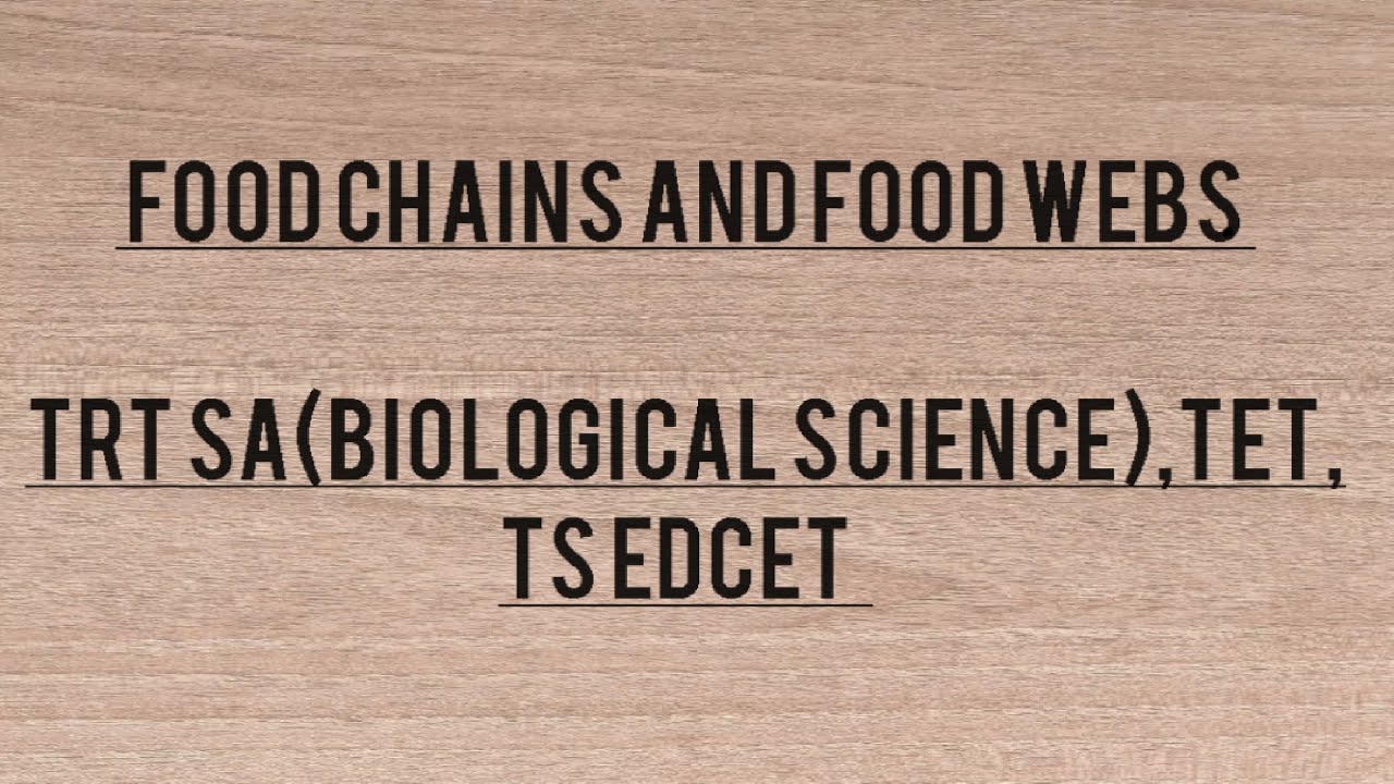 Food chains and Food webs ||TRT SA(Biological science)||TET ||TS EDCET ...