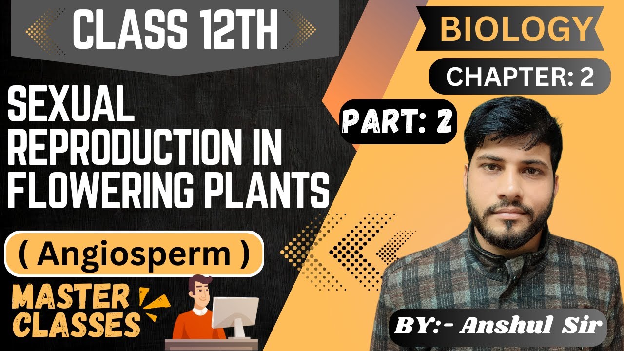Sexual Reproduction in Flowering Plants | Chapter 2 | Part 2 | Biology ...