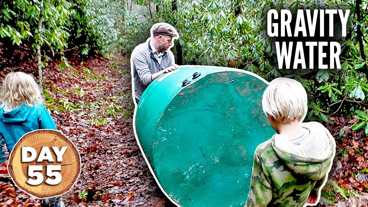 Building a Homestead in 100 Days - Day 55 - YouTube