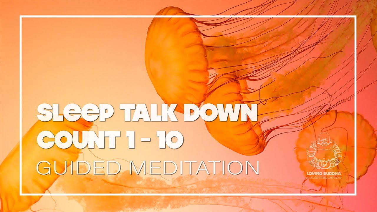 Sleep Talk Down Guided Meditation Count 1 To 10 Relaxation Youtube