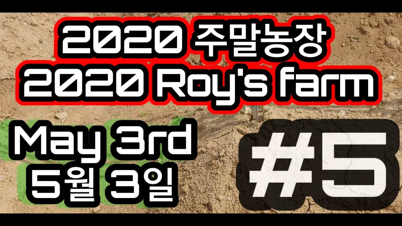 2020 Roy's Farm #5 금천구 주말 농장. - YouTube
