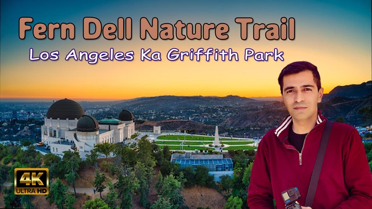 Fern Dell Nature Trail of Griffith Park, Los Angeles, @ArmaniDiary ...