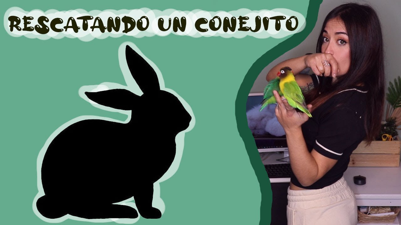 RESCATE DE CONEJITO + Casi me come un conejo :') - YouTube