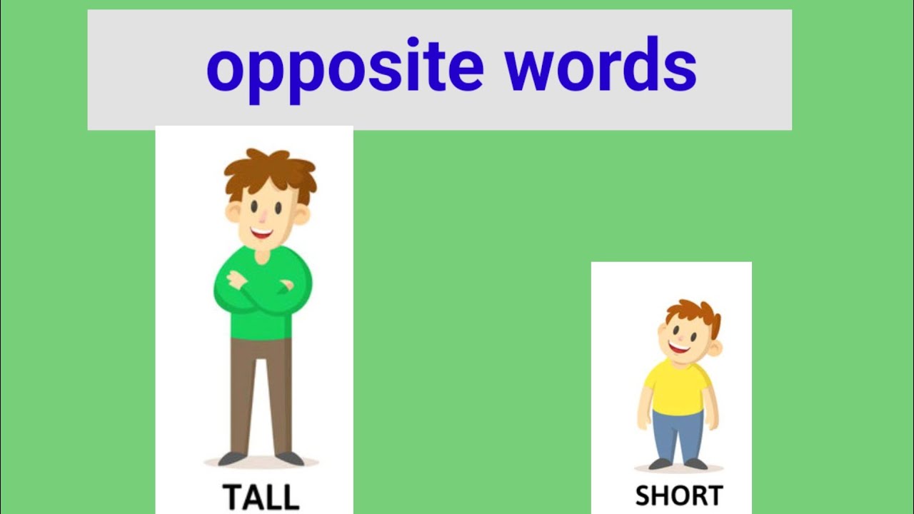 Opposite words/English for kids/kids learning Explorer arts by Deva ...