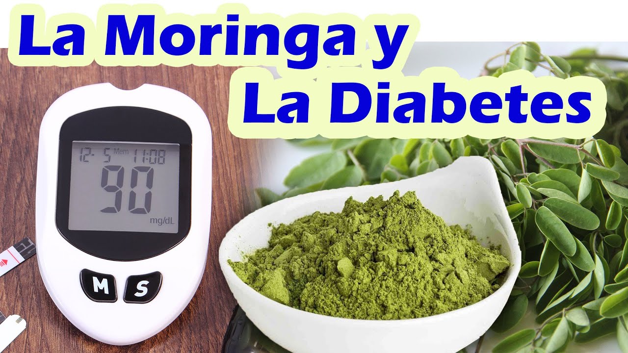 Impresionantes Propiedades y Beneficios De la Moringa | Para Que Sirve ...