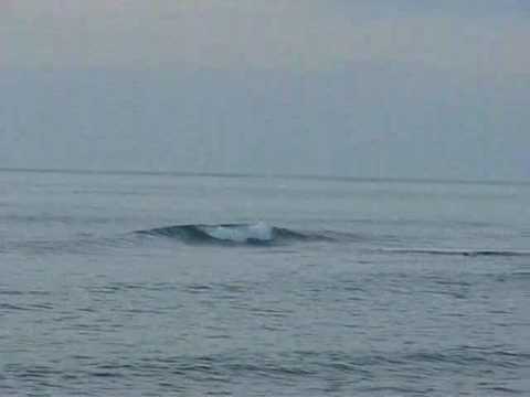 Surfing Stent Road, Surf Highway 45, Taranaki, New Zealand - 7-Dec-2008 ...