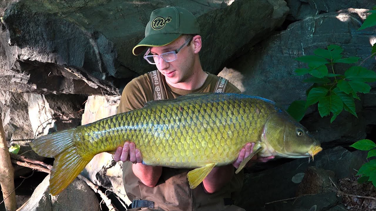 AMERICAN CARP FISHING - The Connecticut River Trials #2 (Crazy Flood ...