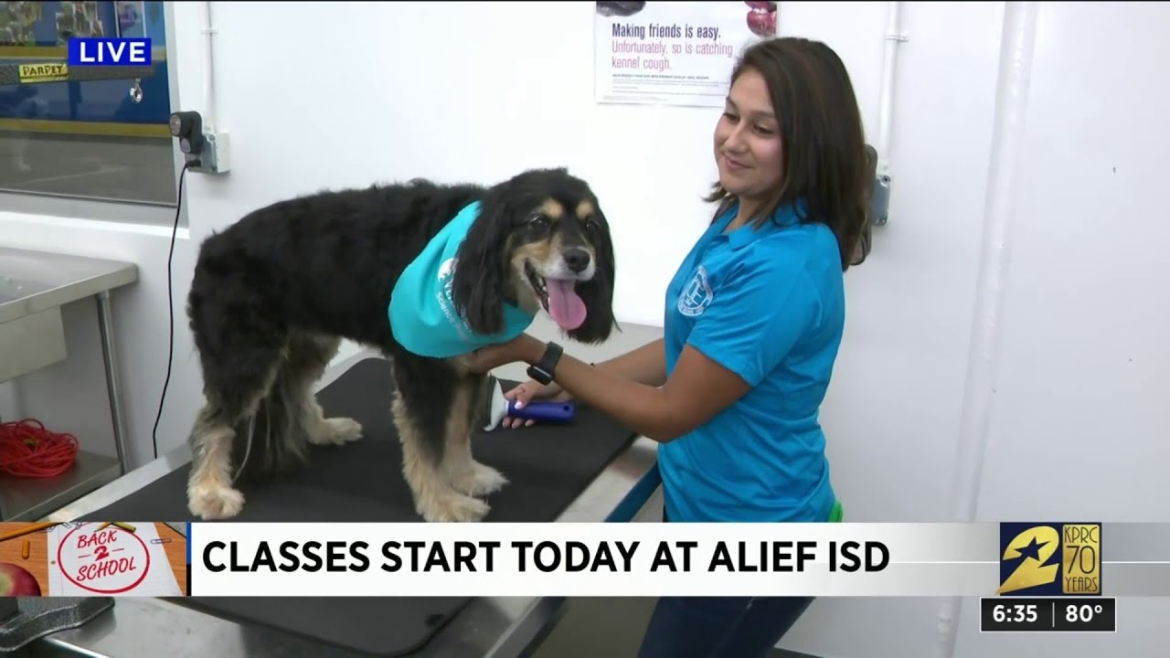 Alief ISD Veterinary medical application program - YouTube