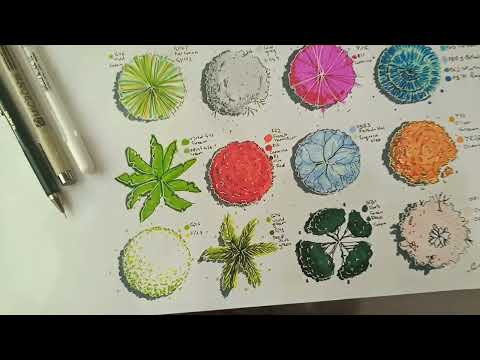 Architectural Tree Drawing| rendering tips #howtodraw - YouTube