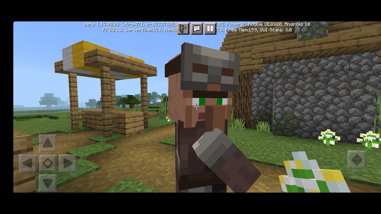 Minecraft to seed chicken feed - YouTube