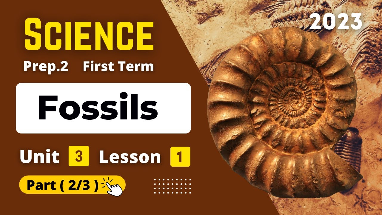 Prep.2 | Science | Unit 3 - Lesson 1 - Part (2/3) | Fossils - YouTube