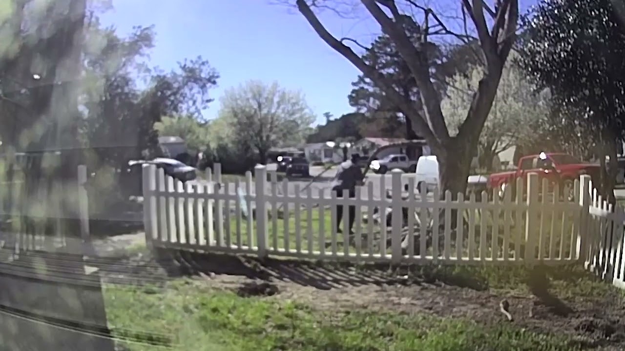 Man Falls off Ladder While Trying to Cut Branches of a Tree - 1303006 ...