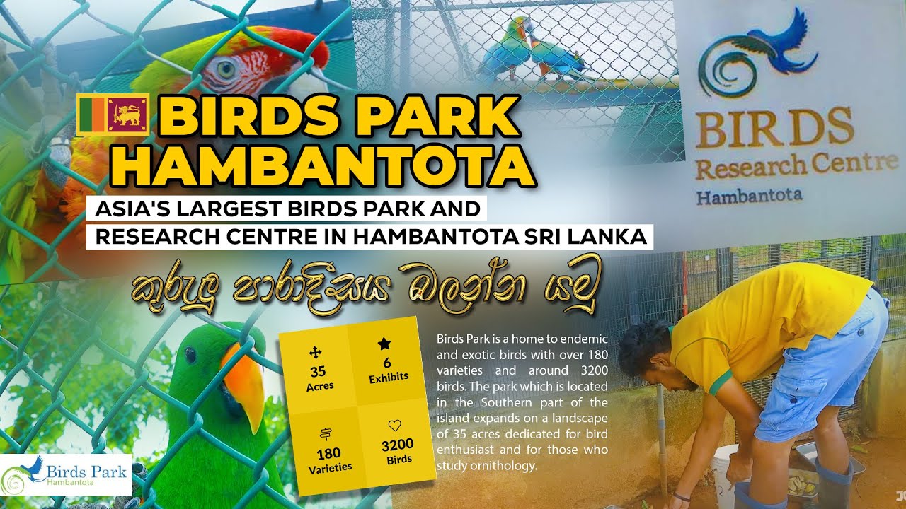 Birds Park, Birds Research Center Hambantota - YouTube