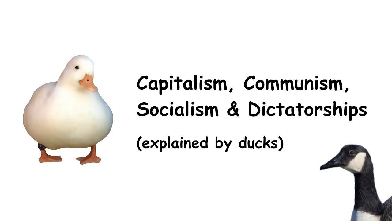 Capitalism, Communism, Socialism & Dictatorships (explained by ducks ...