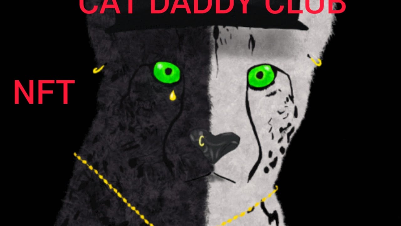 HUGE NFT PROJECT CAT DADDY CLUB IS GOING TO .. - YouTube