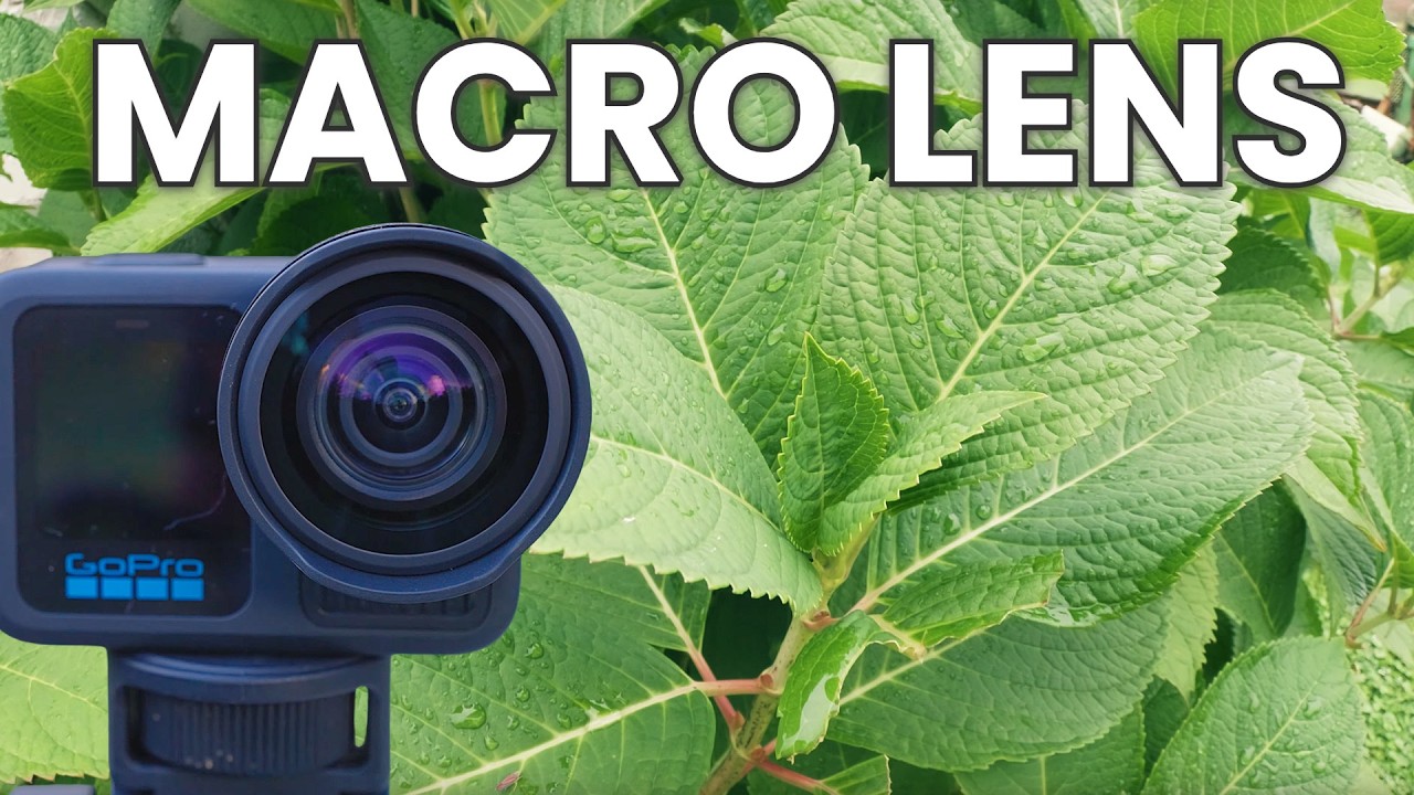 GoPro Hero 13 Black | How to Use the GoPro MACRO LENS Mod - YouTube