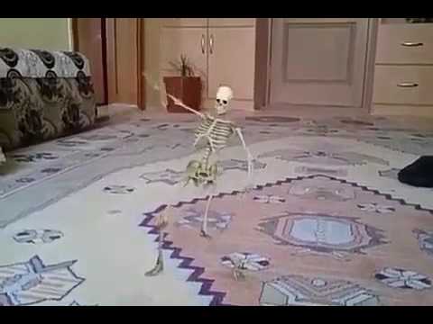 Oyna kemik oyna