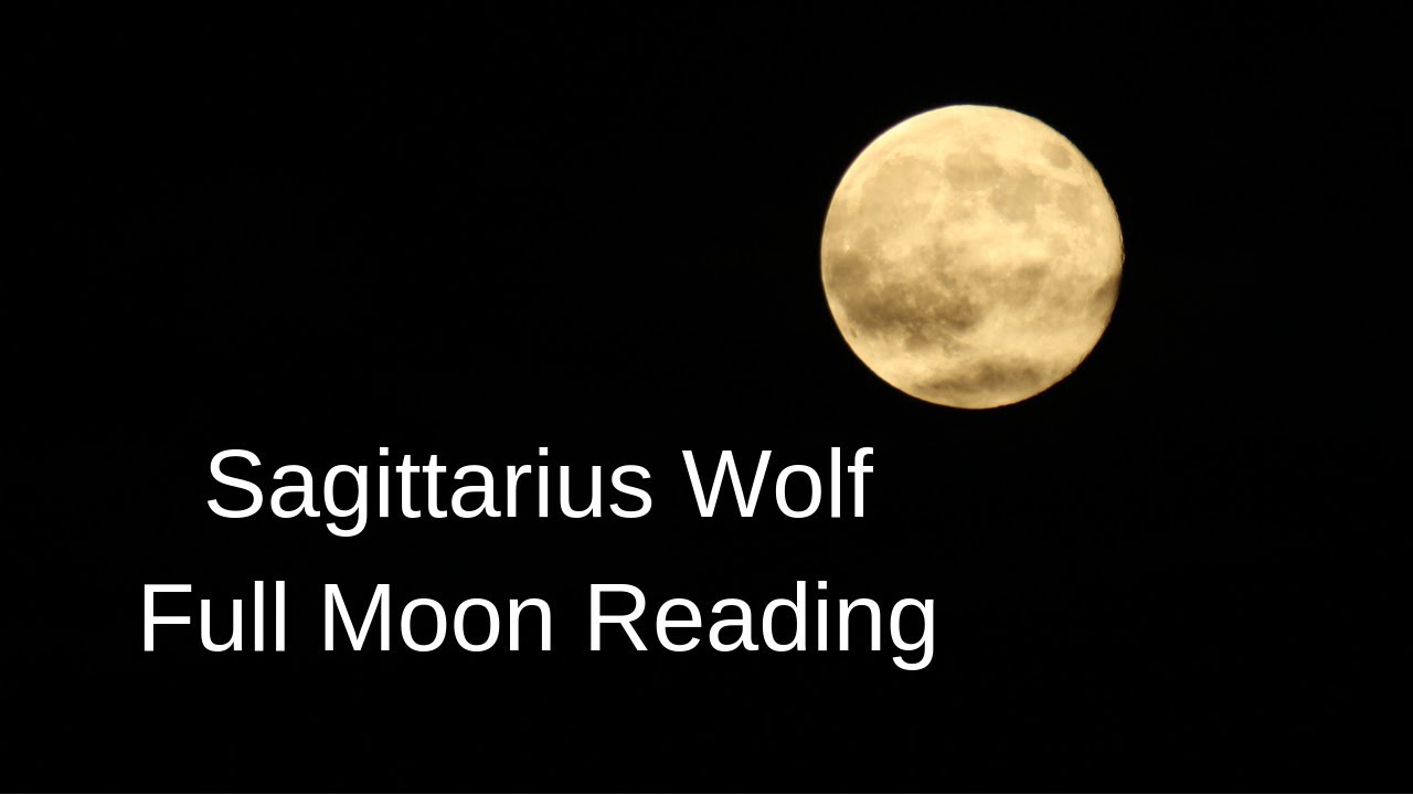 Sagittarius Wolf Full Moon January 21, 2019 Tarot Reading - YouTube