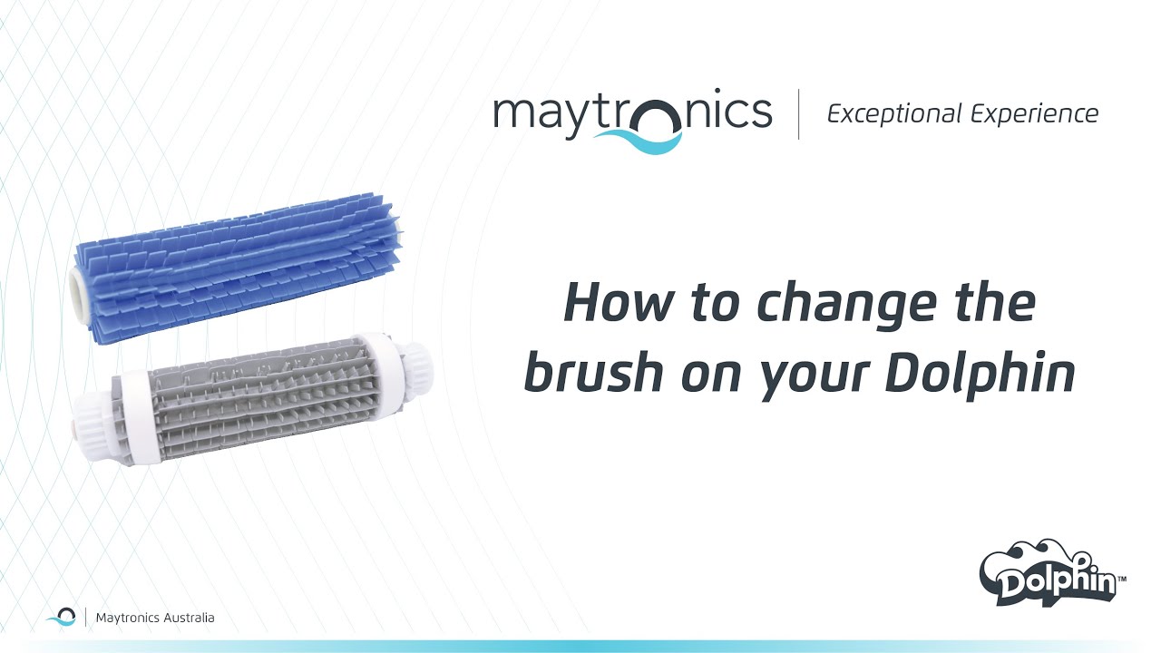 How to change the brush on your Dolphin robotic pool cleaner - YouTube