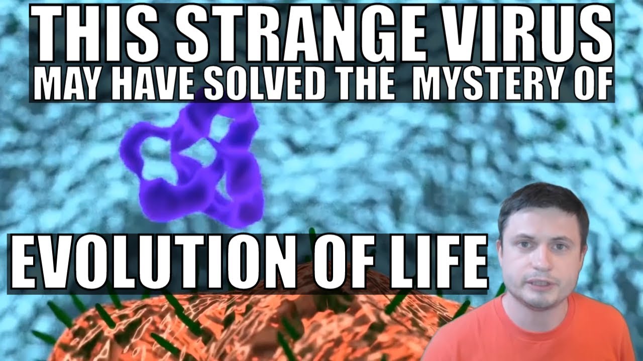 Strange New Virus Discovery Is a Clue To Evolution of Life - YouTube
